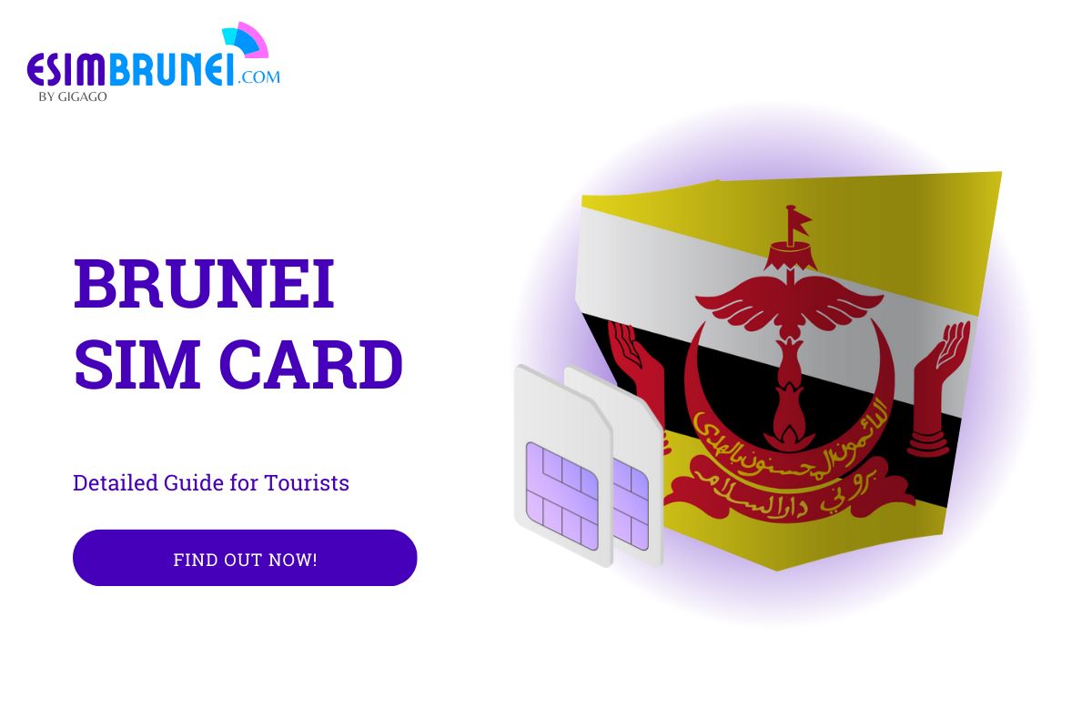 DST SIM Cards and eSIM Detailed Guides for Tourists 2025