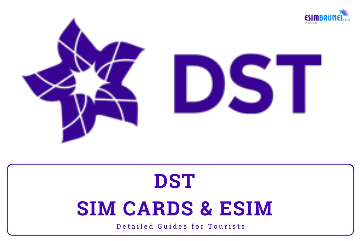 DST SIM Cards and eSIM Detailed Guides for Tourists 2025