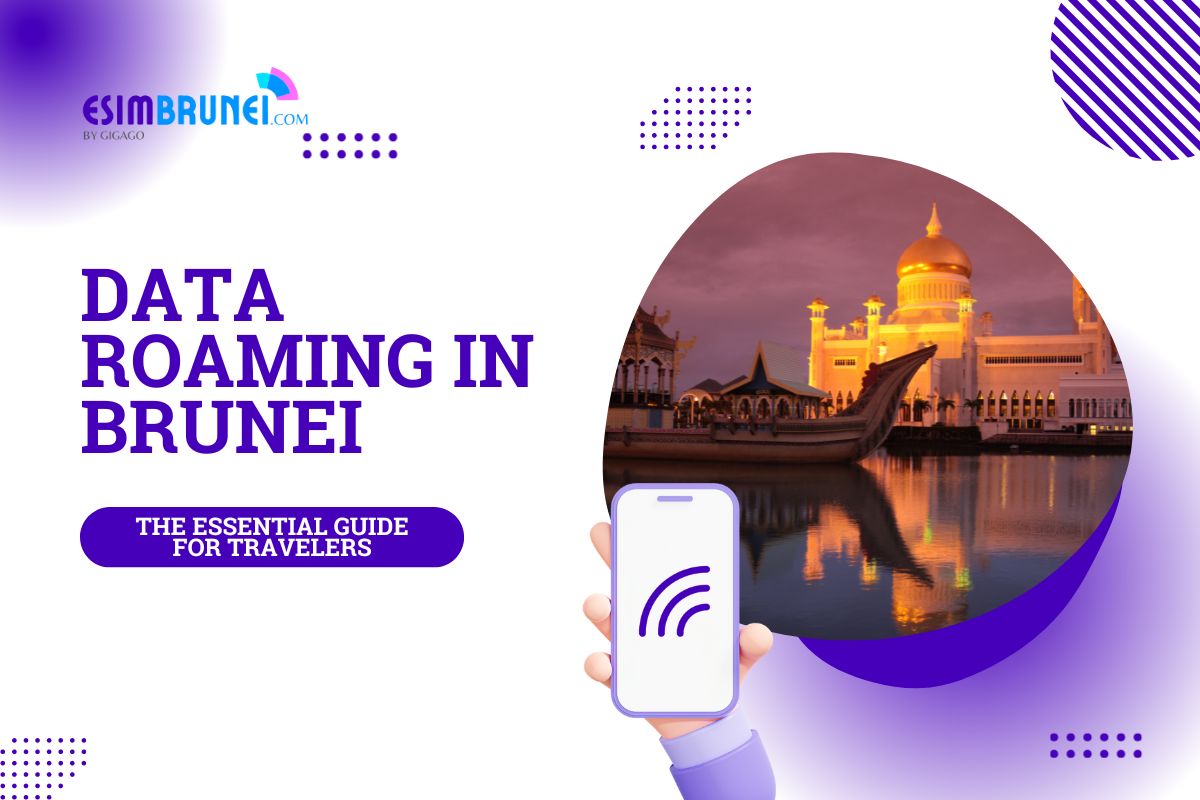 DST SIM Cards and eSIM Detailed Guides for Tourists 2025